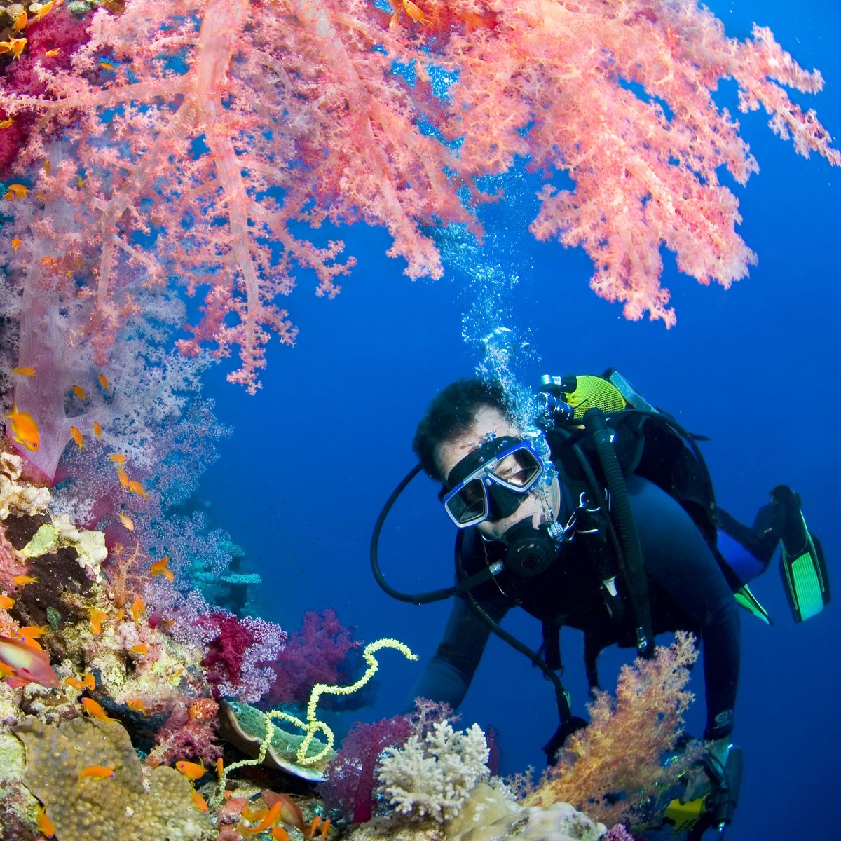 Speed Boat Diving Trips in Hurghada | Aquanaut Dive Club